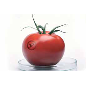 LycoRed lanza una fórmula para la salud masculina - Revista Alimentaria