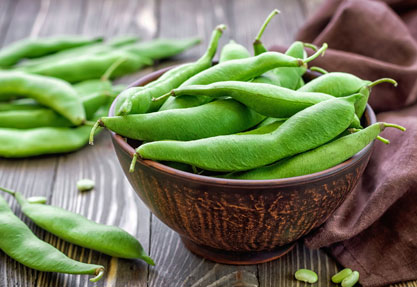 Un gran paso hacia la obtención de las mejores judías - Revista Alimentaria