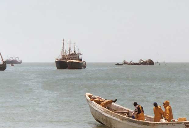 Buenas prácticas para la captura de túnidos tropicales - Revista ...