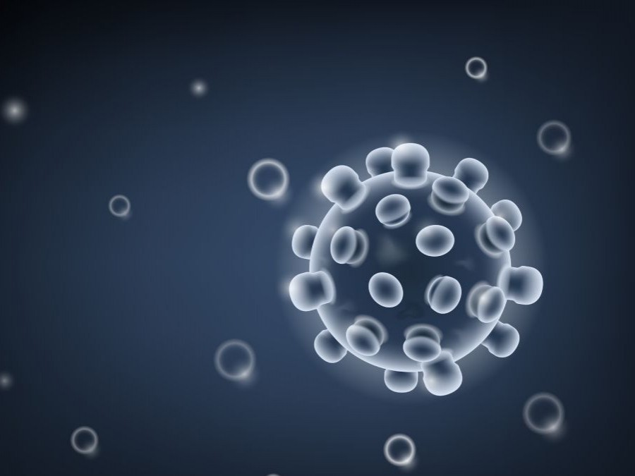 Mundo complejo, virus complejos - Revista Alimentaria