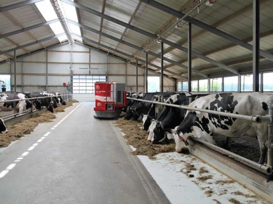 Legislación: normas básicas de ordenación de las granjas bovinas - Revista Alimentaria