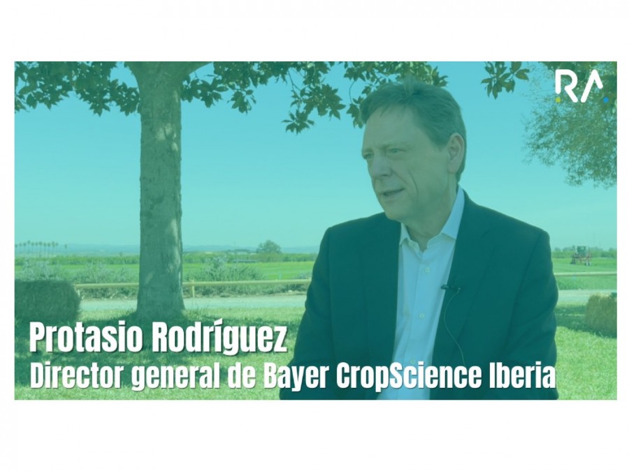 Protasio Rodríguez: “Nos hemos consolidado como líderes en el área de ...