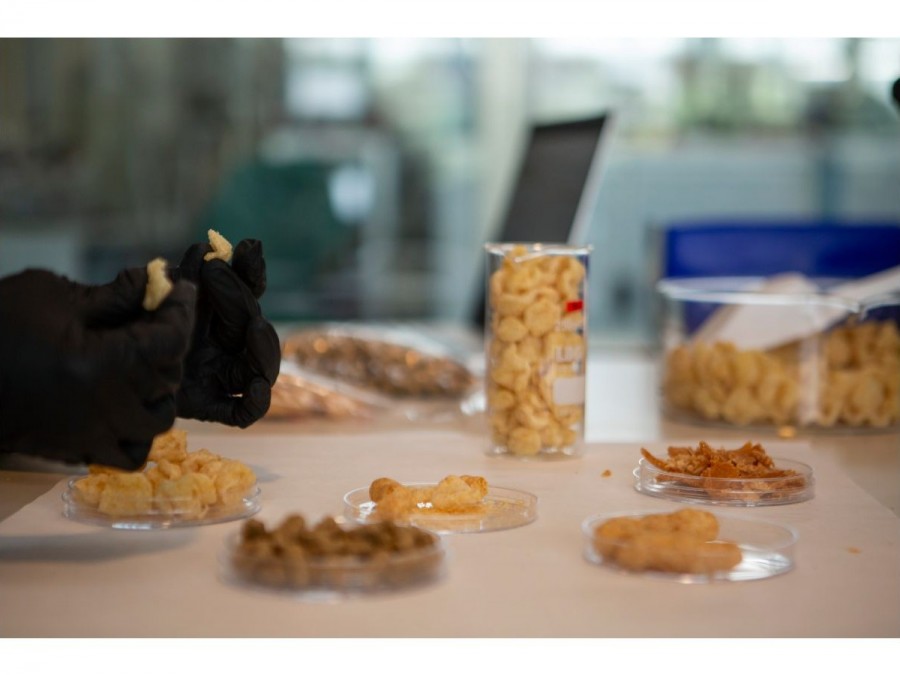 Proyecto GARNOVA: Una nueva apuesta a la generación de snacks extruidos ...