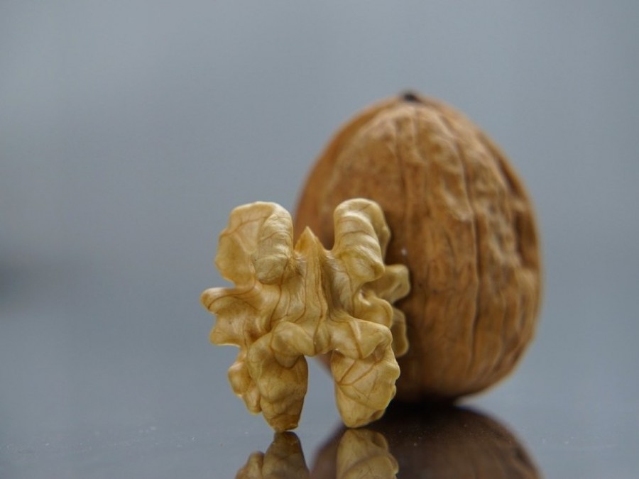 El Comité de nuez y pecano de FEPEX analiza las desventajas ...