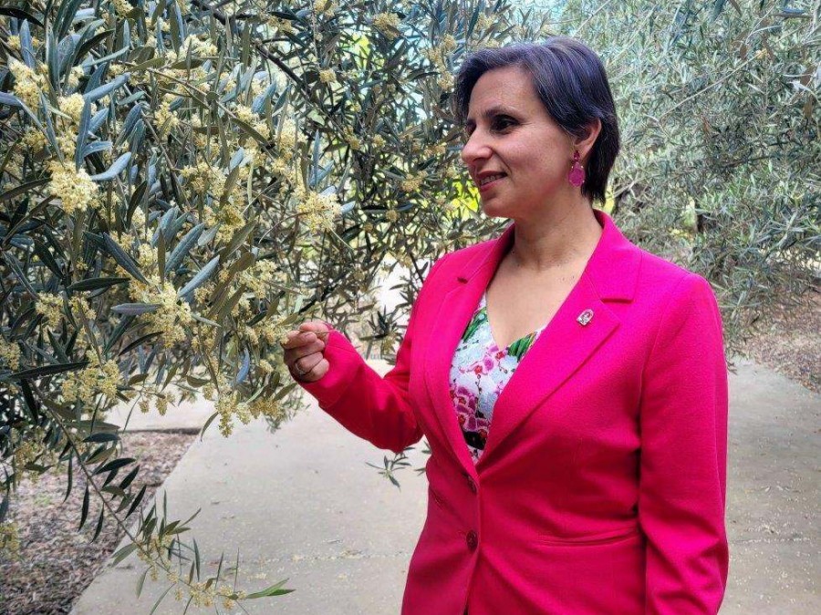 María Soledad Aranda Martínez: "El aceite de oliva es la piedra angular ...